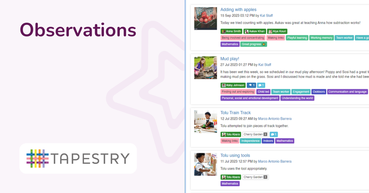 Observations - Tapestry Features